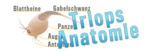 Triops - Urzeitkrebse aus einer anderen Welt - Triops Spektrum